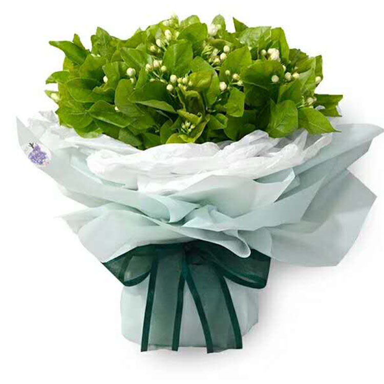 Sydney paper flower wrapping paper